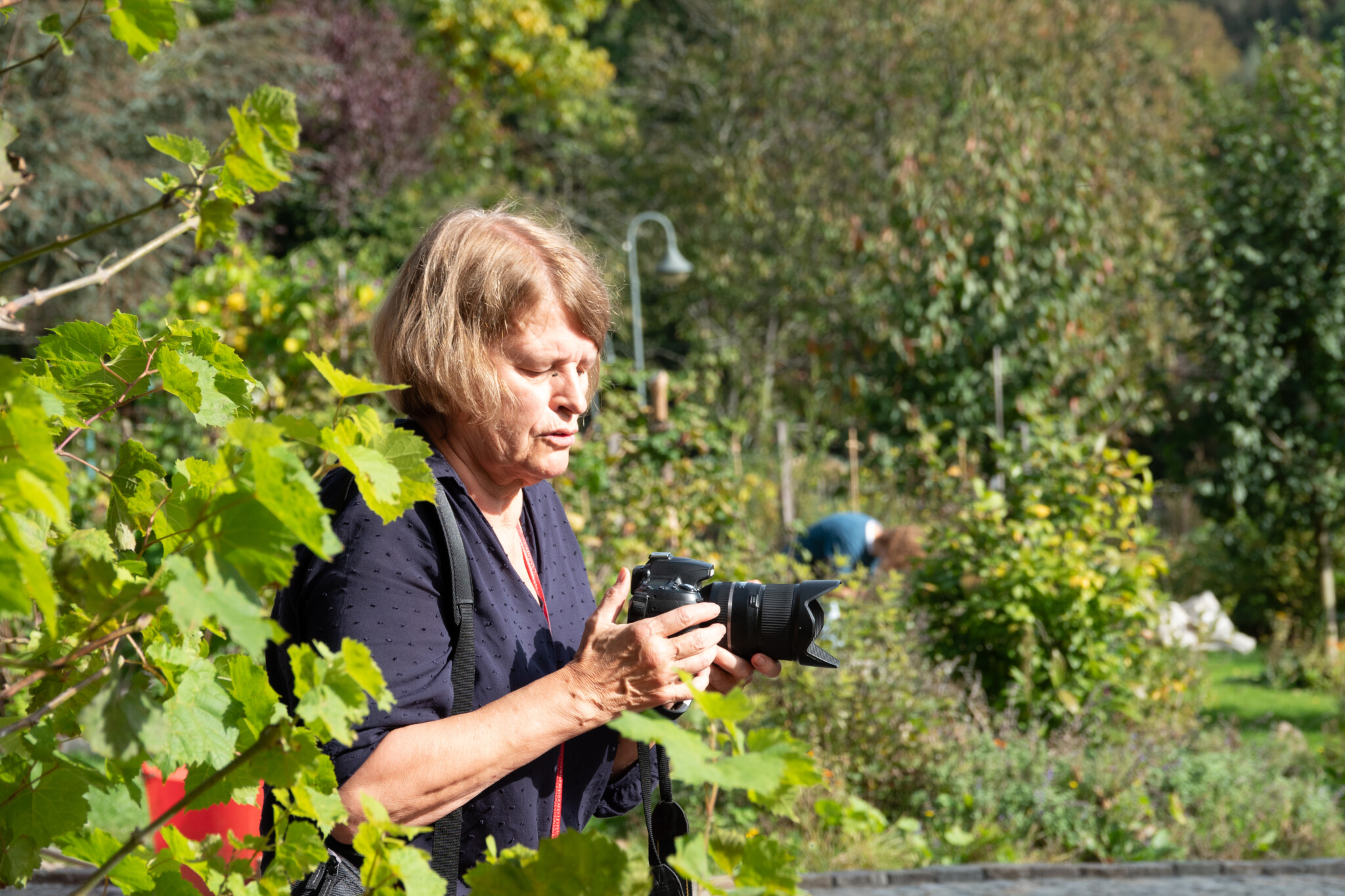 Stadtparkträume Filmworkshop und Ausstellung • Projekt • kubia